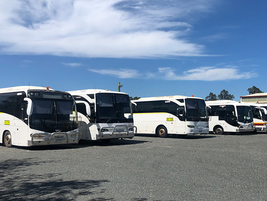 Who said you couldn’t find a good coach in QLD - Lloyds Auctions ...